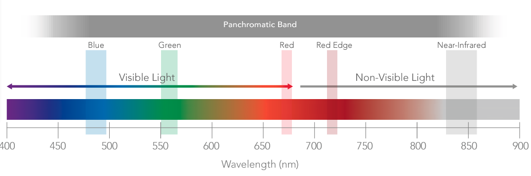 Unveiling the Power of Multispectral Imaging in Drone Technology ...
